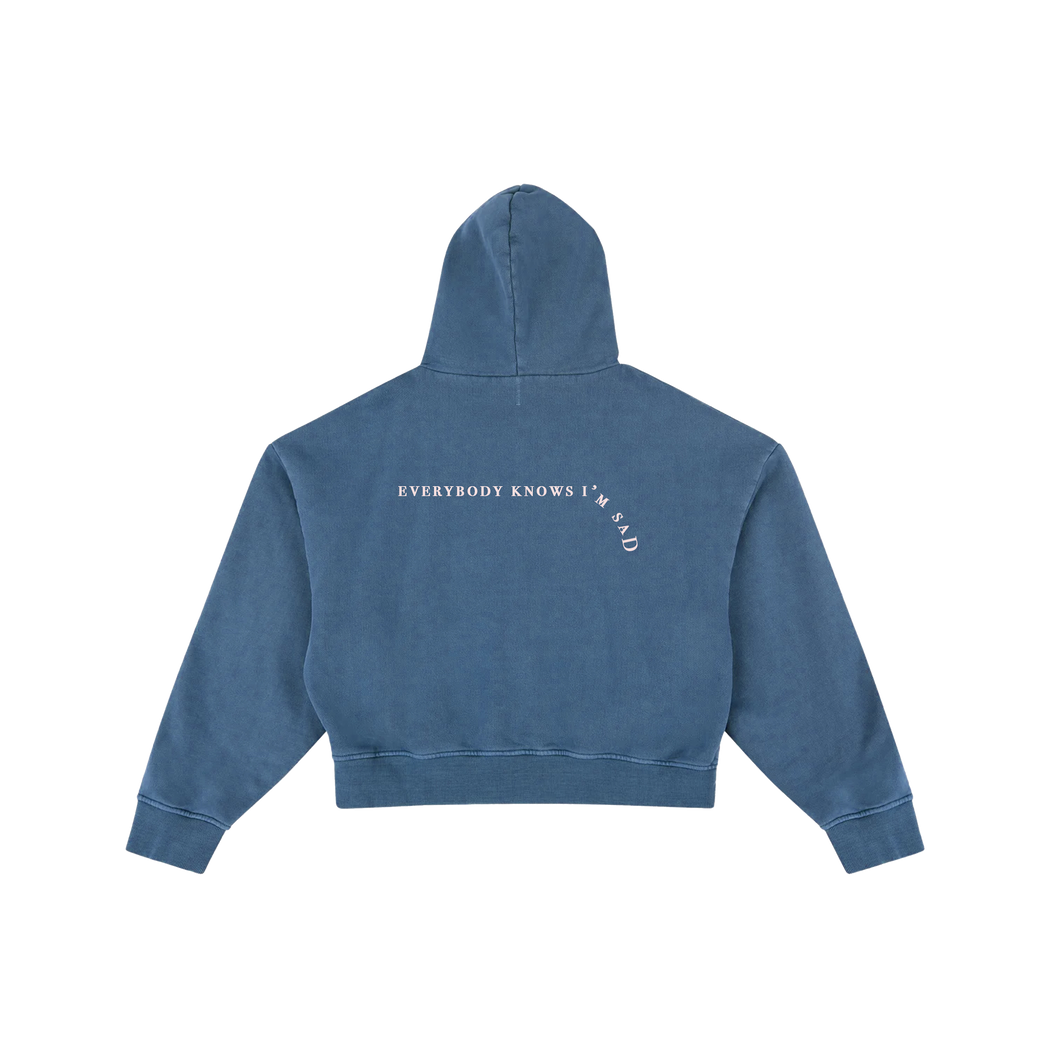 EVERYBODY KNOWS I'M SAD Zip Hoodie – Marina